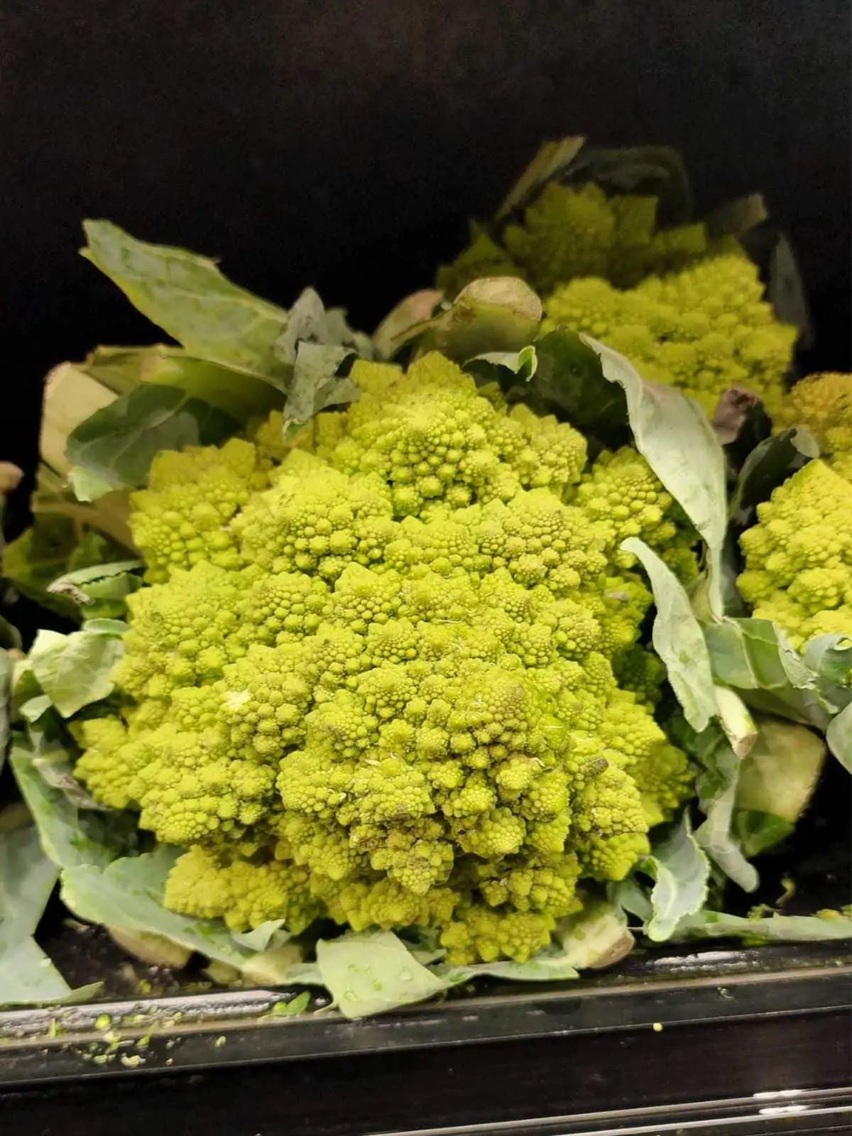 21 Types of Winter Vegetables - Butter N Thyme