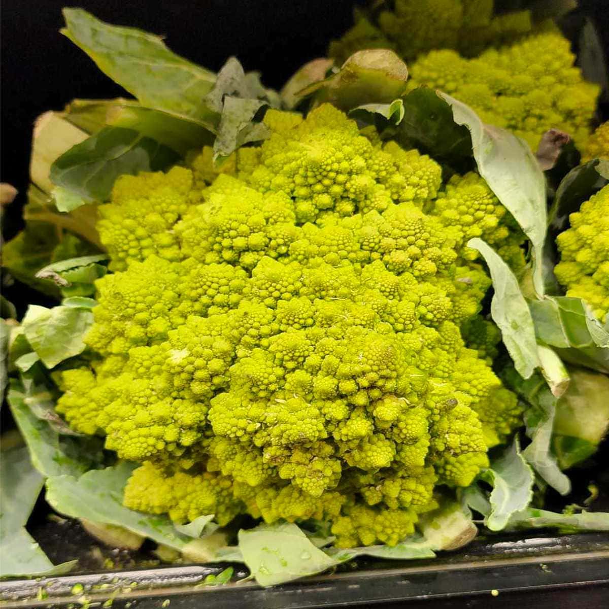 21 Types of Winter Vegetables - Butter N Thyme