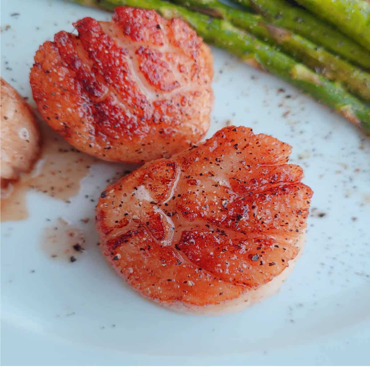 How To Cook Perfect Scallops | Golden Brown Every Time - Butter-N-Thyme