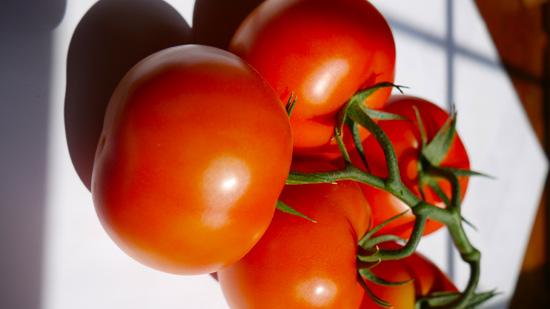 Shrimp & Crab Stuffed Tomatoes w/ Fresh Corn - Butter-n-Thyme Kitchen