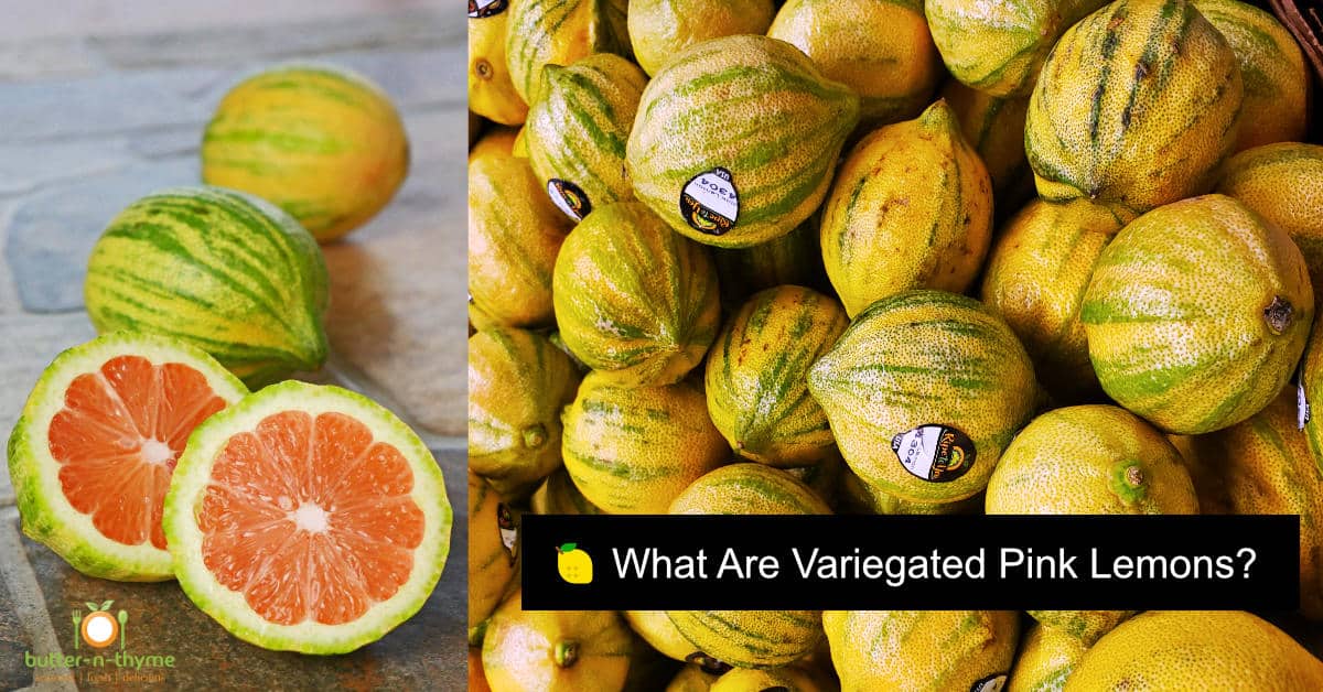 Variegated Pink Lemons | Uses and Key Facts