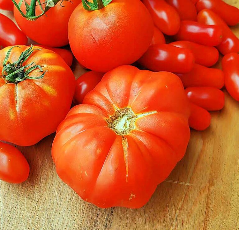 Types of Tomatoes: 45 Varieties, Photos & Best Uses - Butter N Thyme