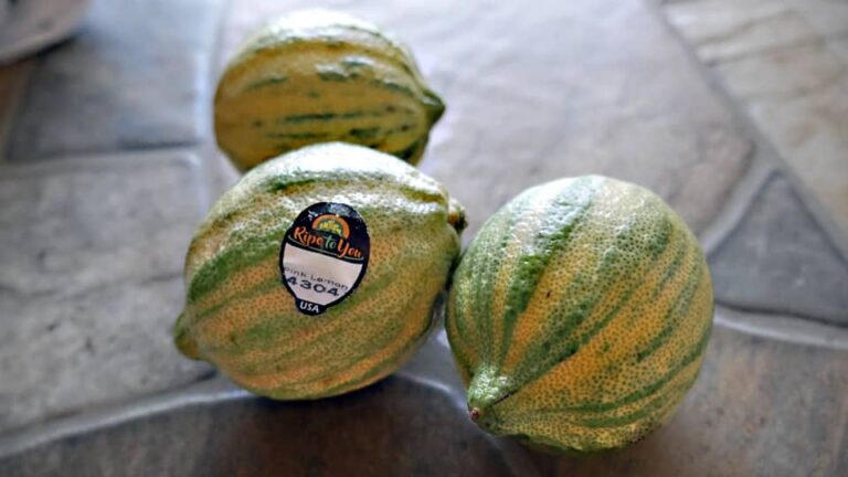 Variegated Pink Lemons | Uses and Key Facts