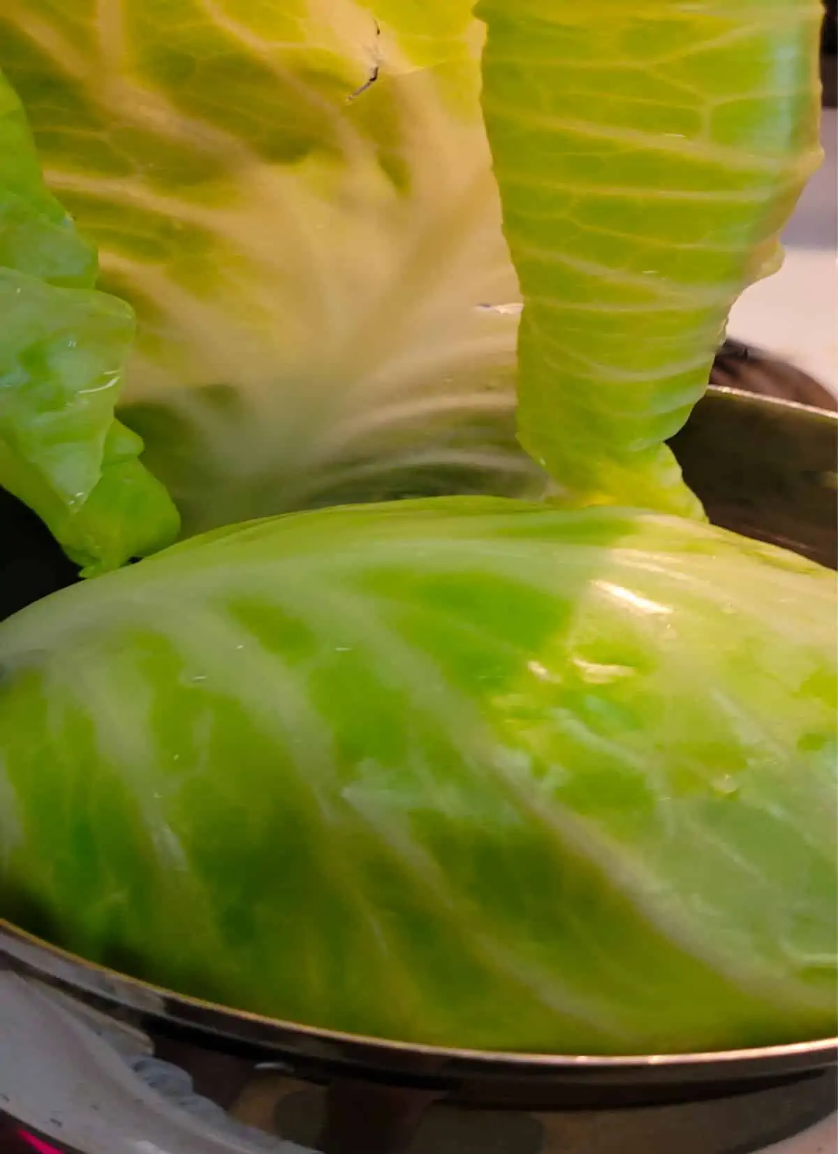 Stuffed Cabbage Rolls with Tomato Juice | Grandma's Way - Butter N Thyme
