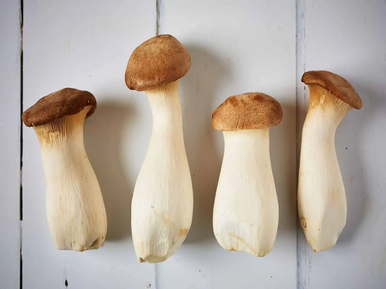 45 Types of Mushrooms | A-to-Z | Defined | Photos - Butter N Thyme