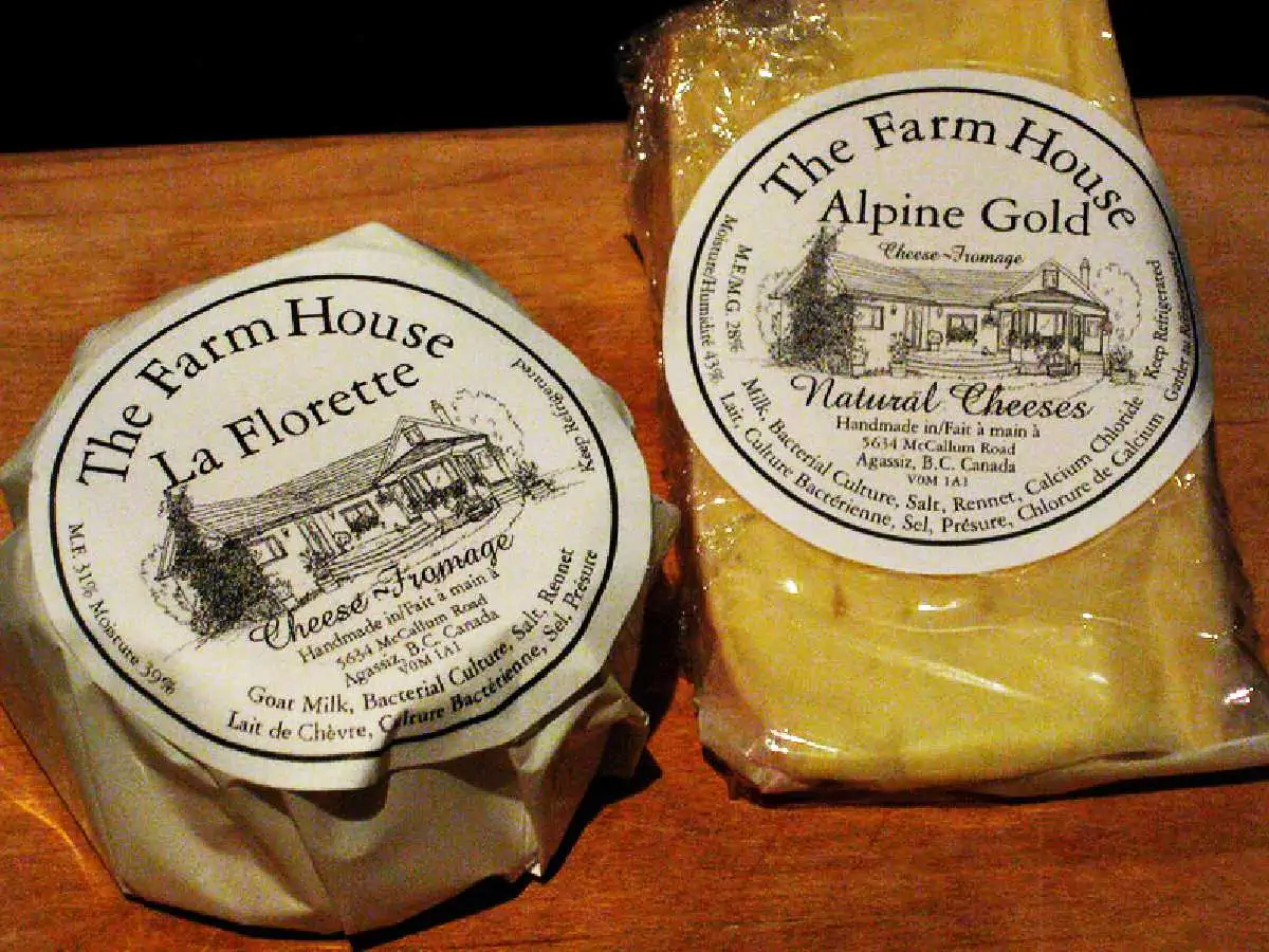 45 Types Of Cheese | A-to-Z | Defined | Photos - Butter N Thyme