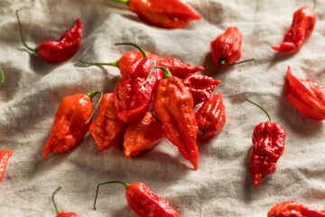 85 Hottest Peppers in the World🌶️ - Butter N Thyme