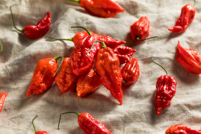 85 Hottest Peppers in the World🌶️ - Butter N Thyme