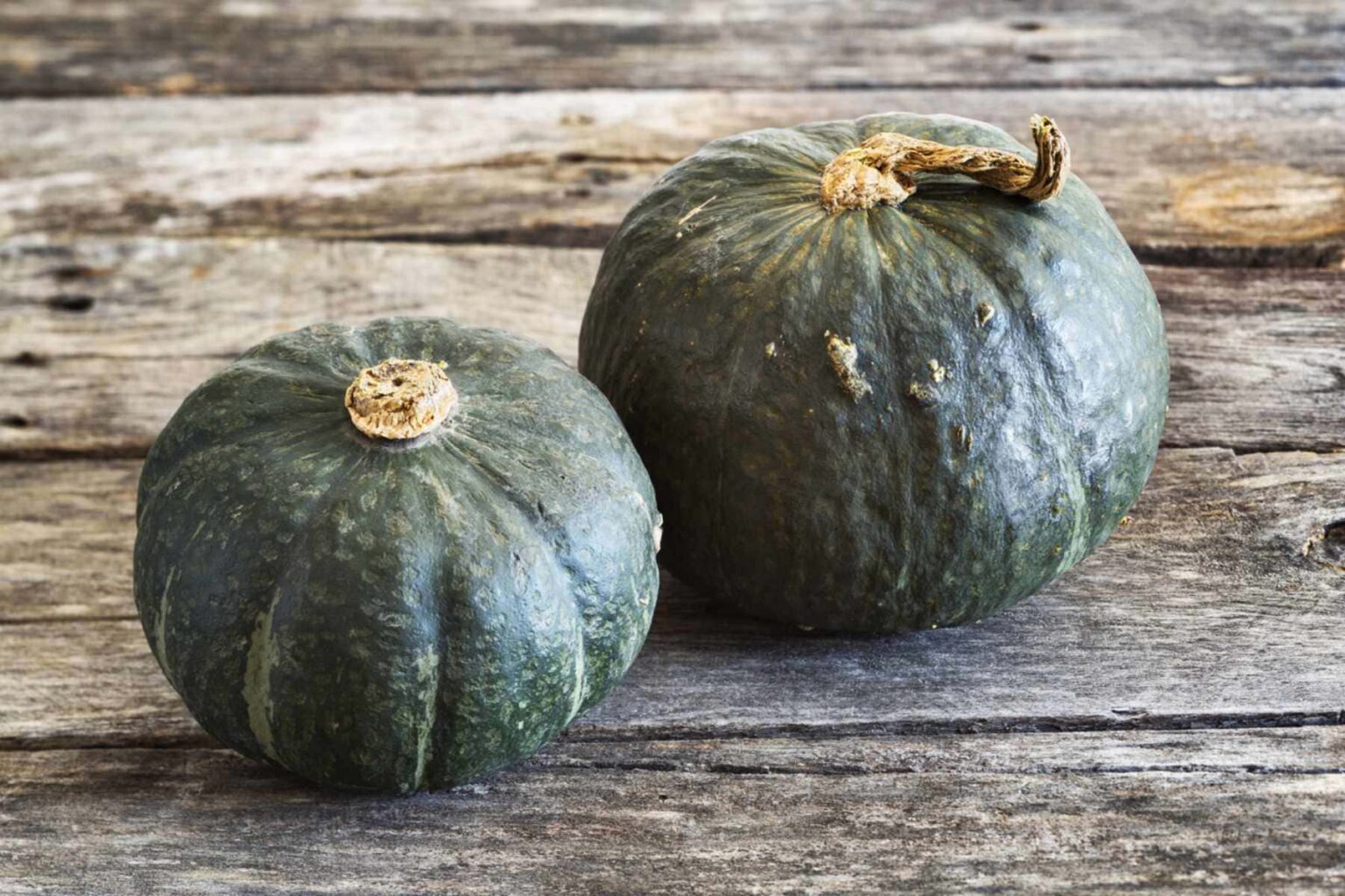 45 Types of Squash: (A-to-Z) Photos - Butter N Thyme