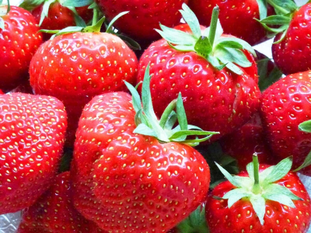 45 Types of Strawberries: (A to Z) Photos