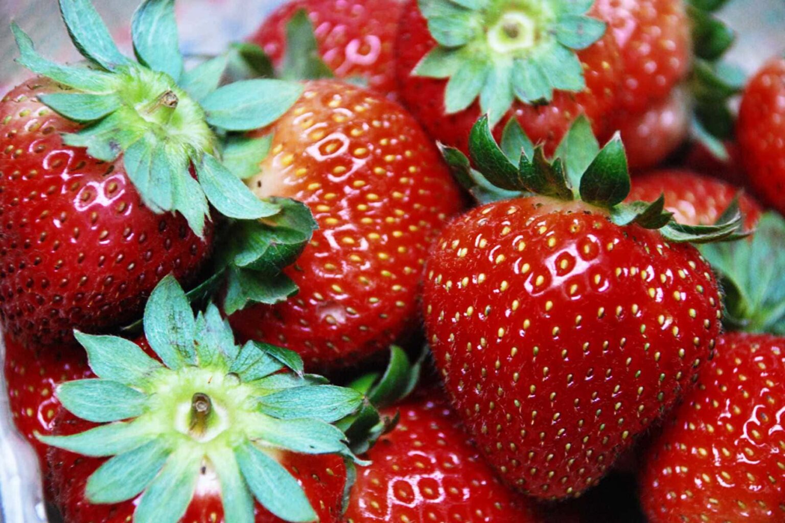 45 Types of Strawberries: (A to Z) Photos
