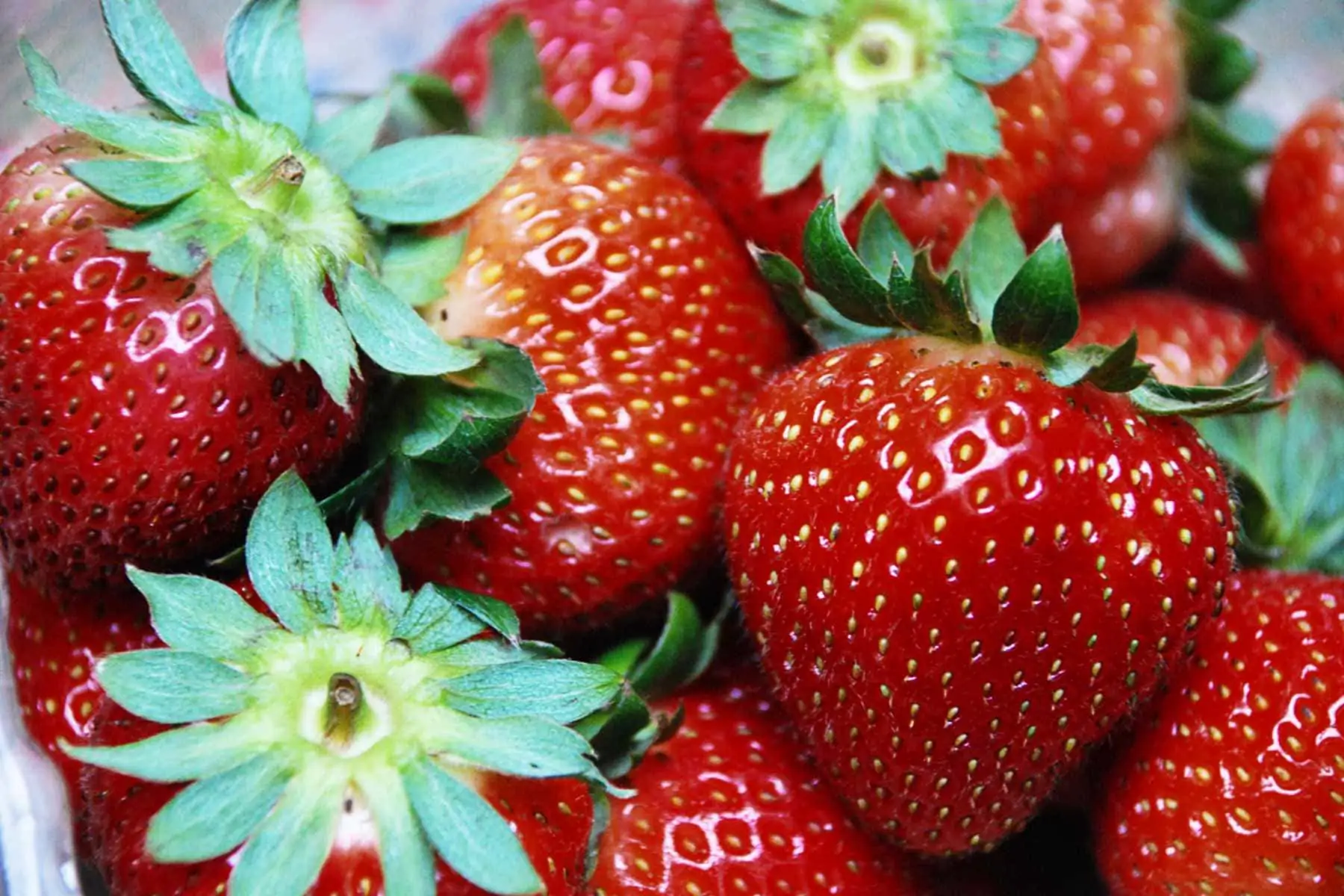 How To Grow Strawberries: A Beginner's Guide
