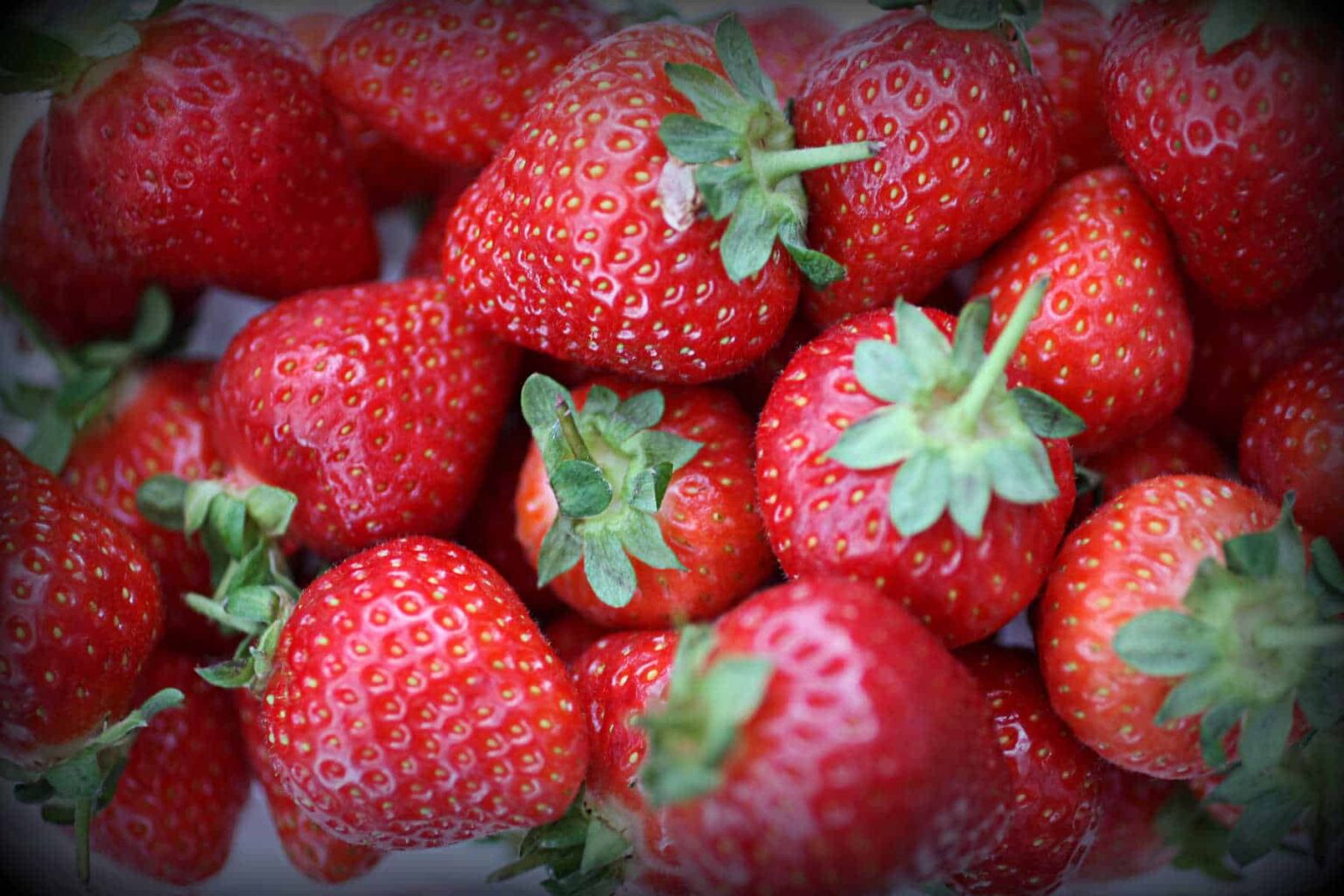 45 Types of Strawberries: (A to Z) Photos