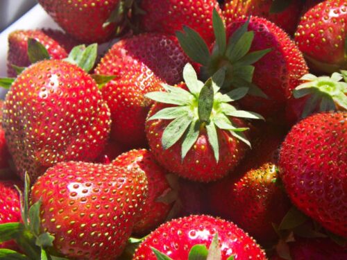 45 Types of Strawberries: (A to Z) Photos
