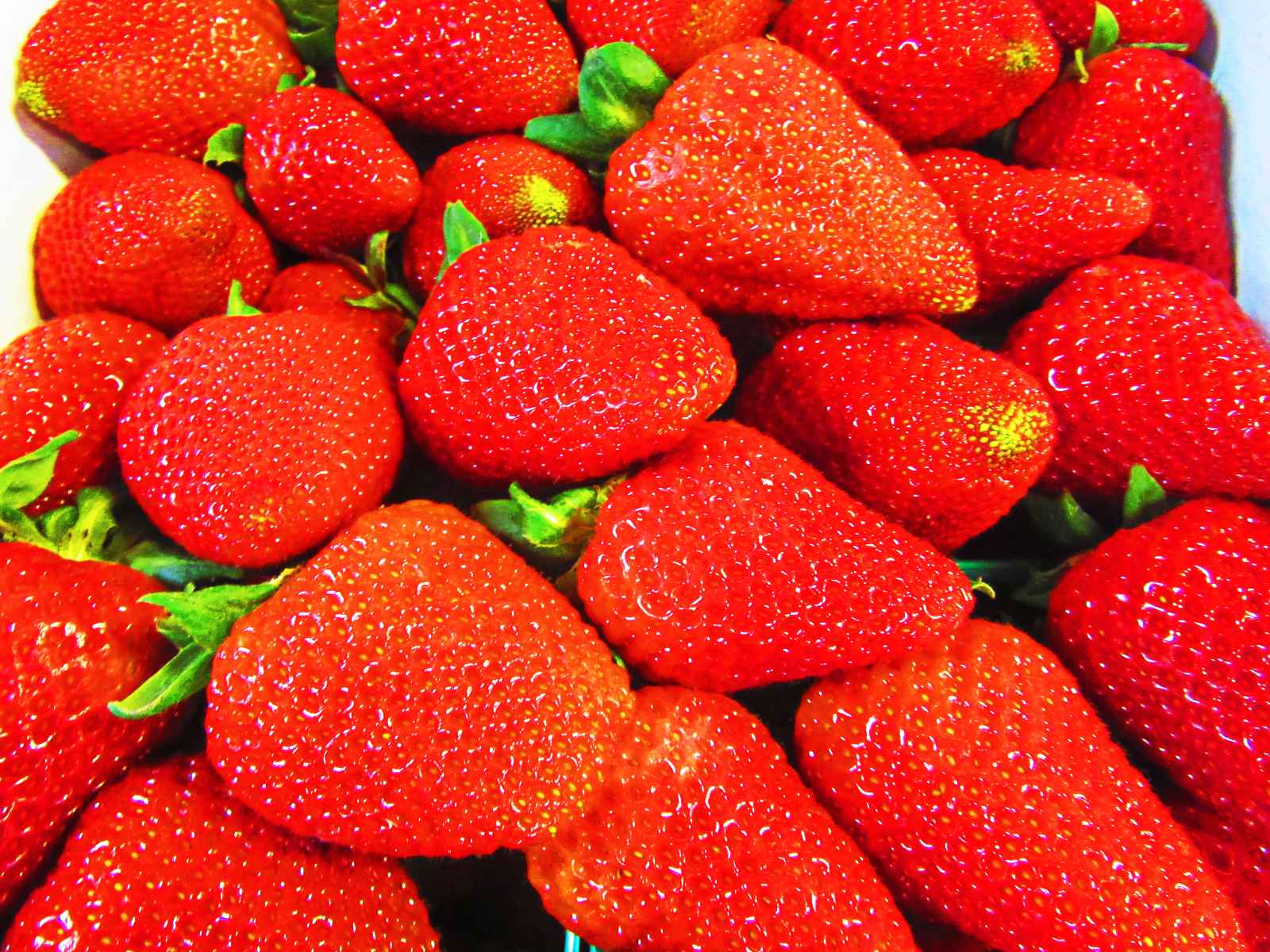 45 Types of Strawberries: A to Z | Defined | Photos
