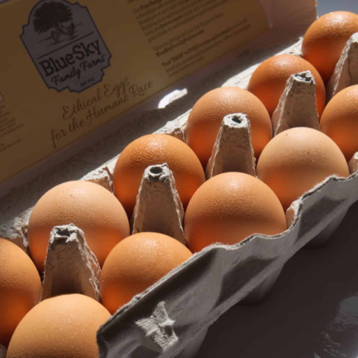 21 Egg Substitute Ingredients - Butter N Thyme