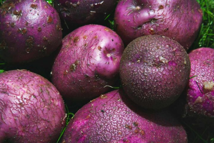 56 Types of Potatoes 🥔 A-to-Z | Photos