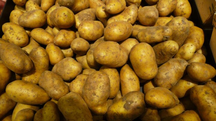 56 Types of Potatoes 🥔 A-to-Z | Photos