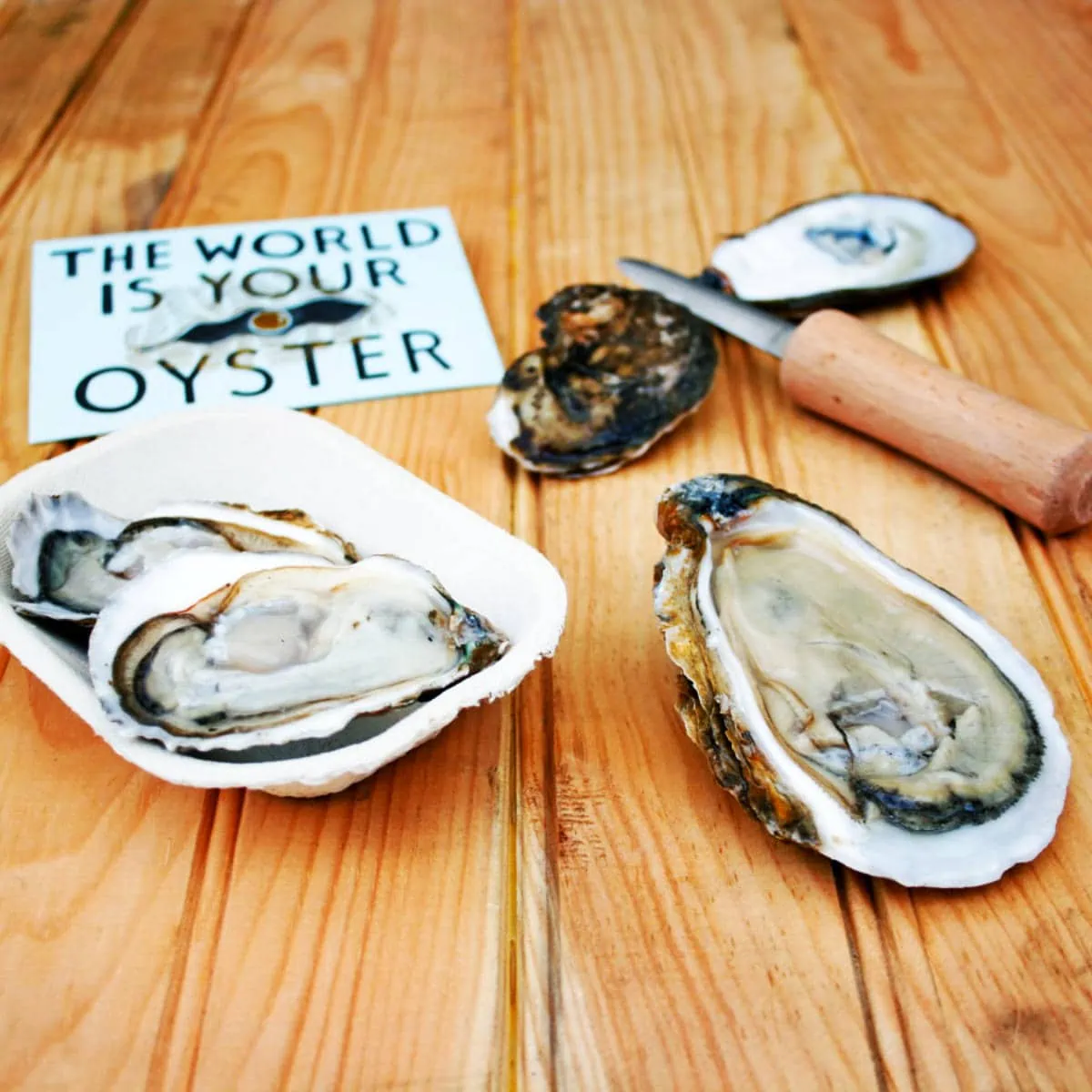 35 Types of Oysters | Varieties A-to-Z | Photos - Butter N Thyme
