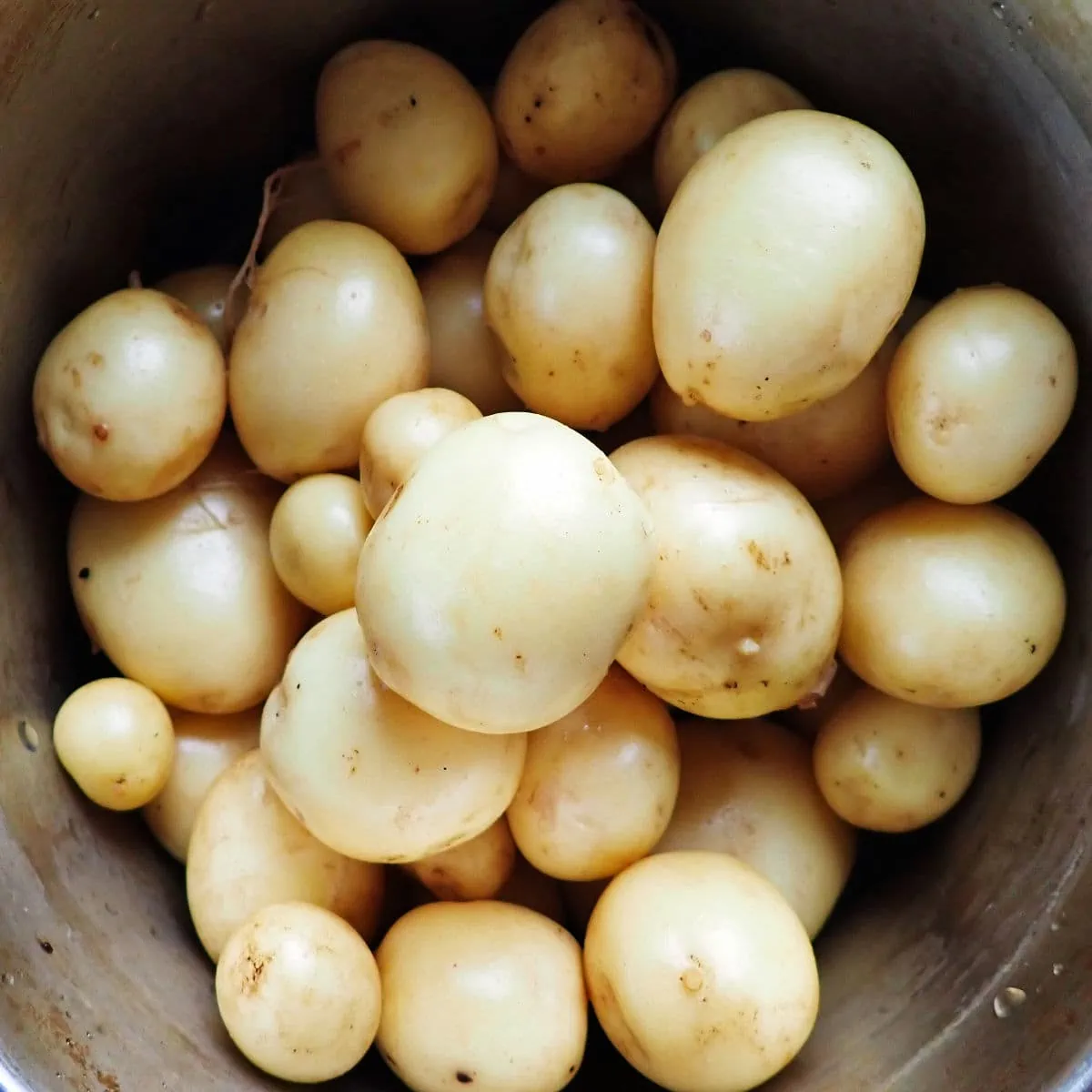 56 Types of Potatoes 🥔 A-to-Z | Photos