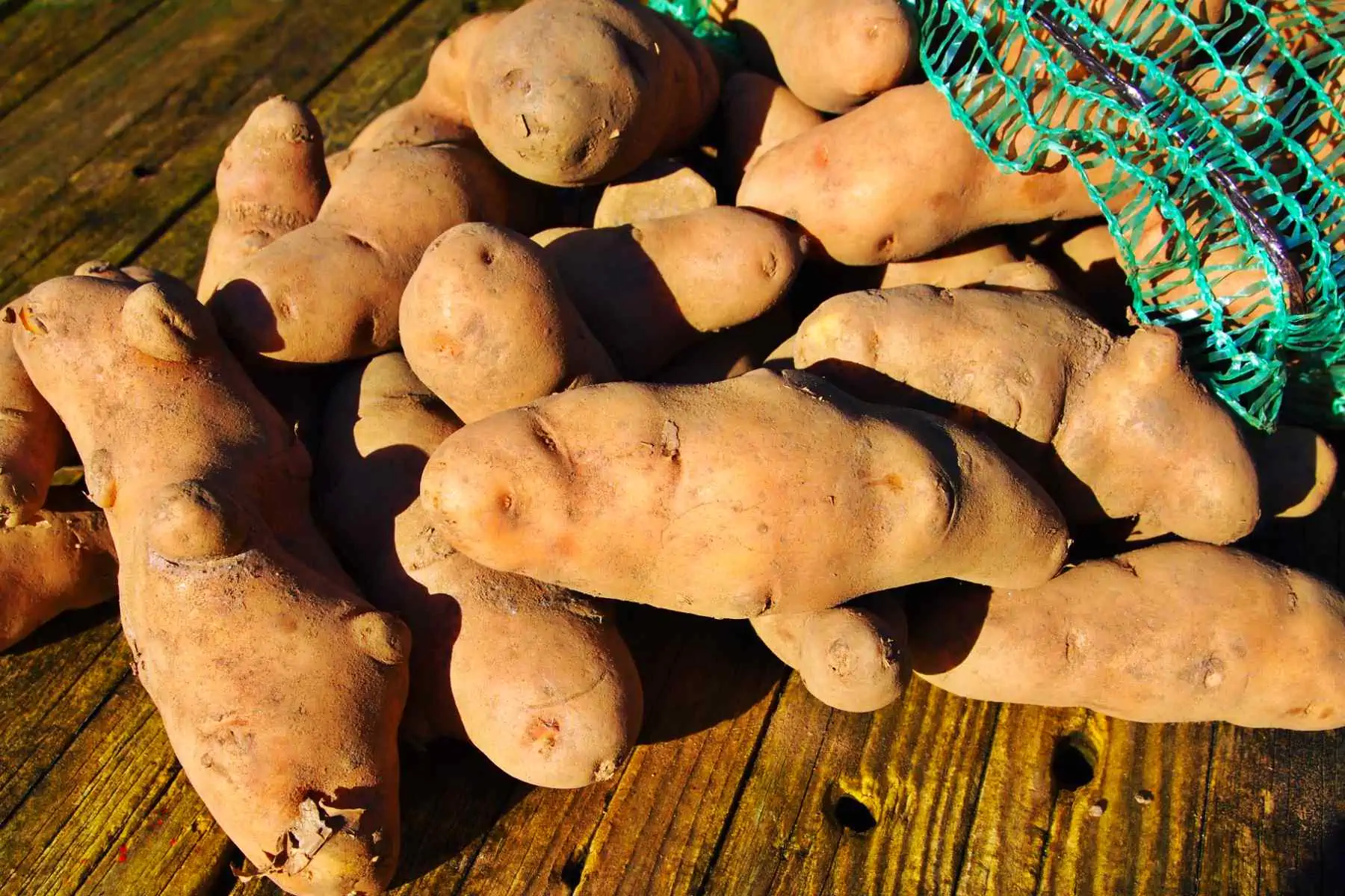 56 Types of Potatoes 🥔 A-to-Z | Photos