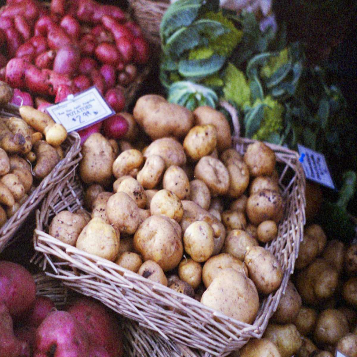 When Are Potatoes In Season | Growing Tips - Butter N Thyme