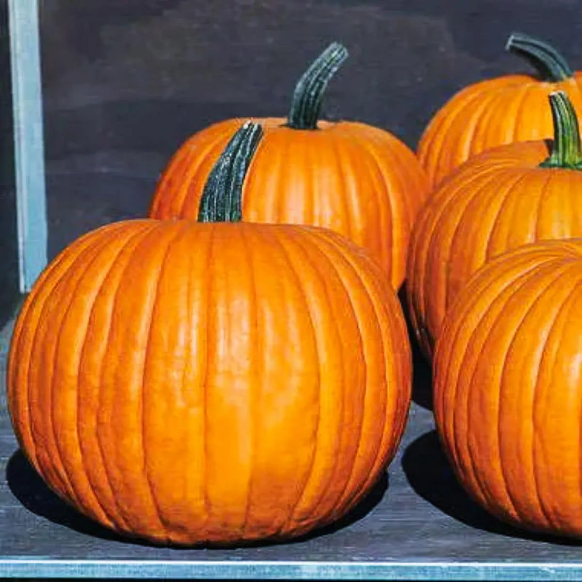 50 Types of Pumpkins | A-to-Z | Photos - Butter N Thyme