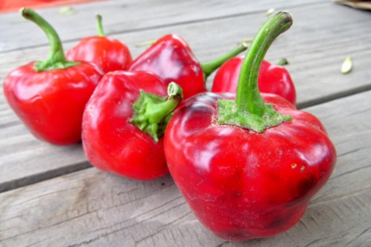 45 Types of Peppers: (A-to-Z) Photos - Butter N Thyme