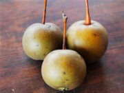 10 Types of Asian Pears | A to Z | Photos - Butter N Thyme
