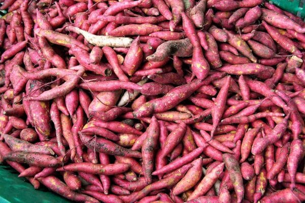 39 Types of Sweet Potatoes: (A to Z) Photos - Butter N Thyme