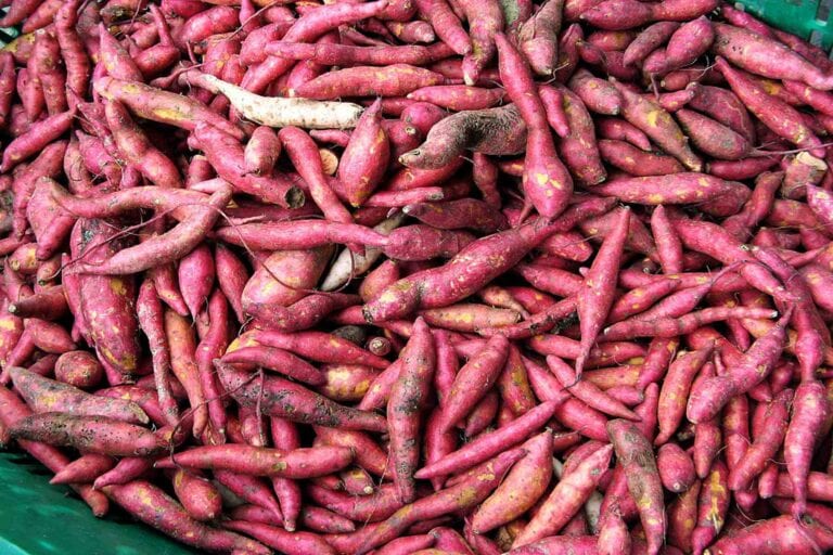 39 Types of Sweet Potatoes: (A to Z) Photos - Butter N Thyme