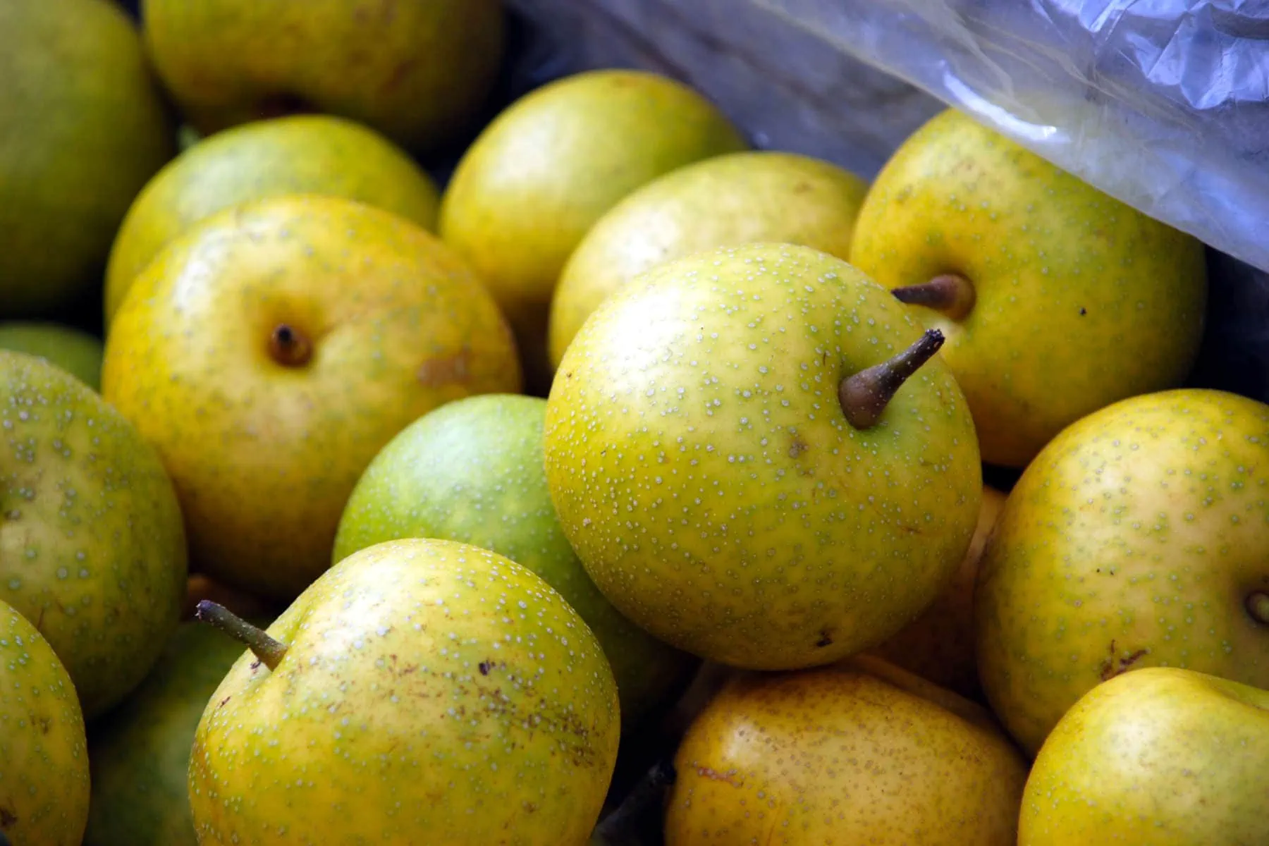 10 Types of Asian Pears | A to Z | Photos - Butter N Thyme