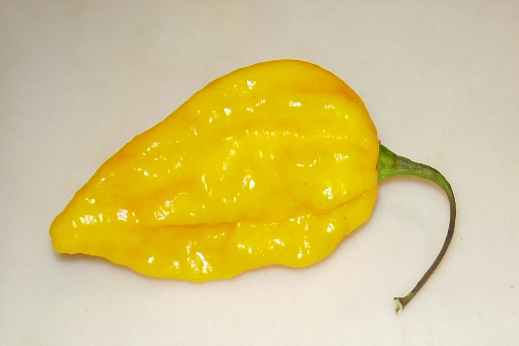45 Types of Peppers | A to Z | Photos - Butter N Thyme