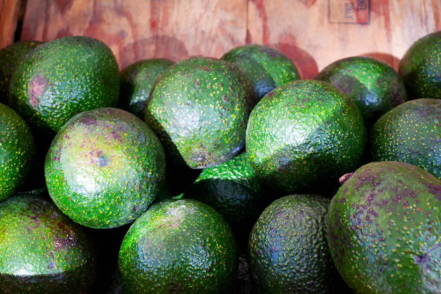 26 Types of Avocados | A-to-Z | Photos - Butter N Thyme