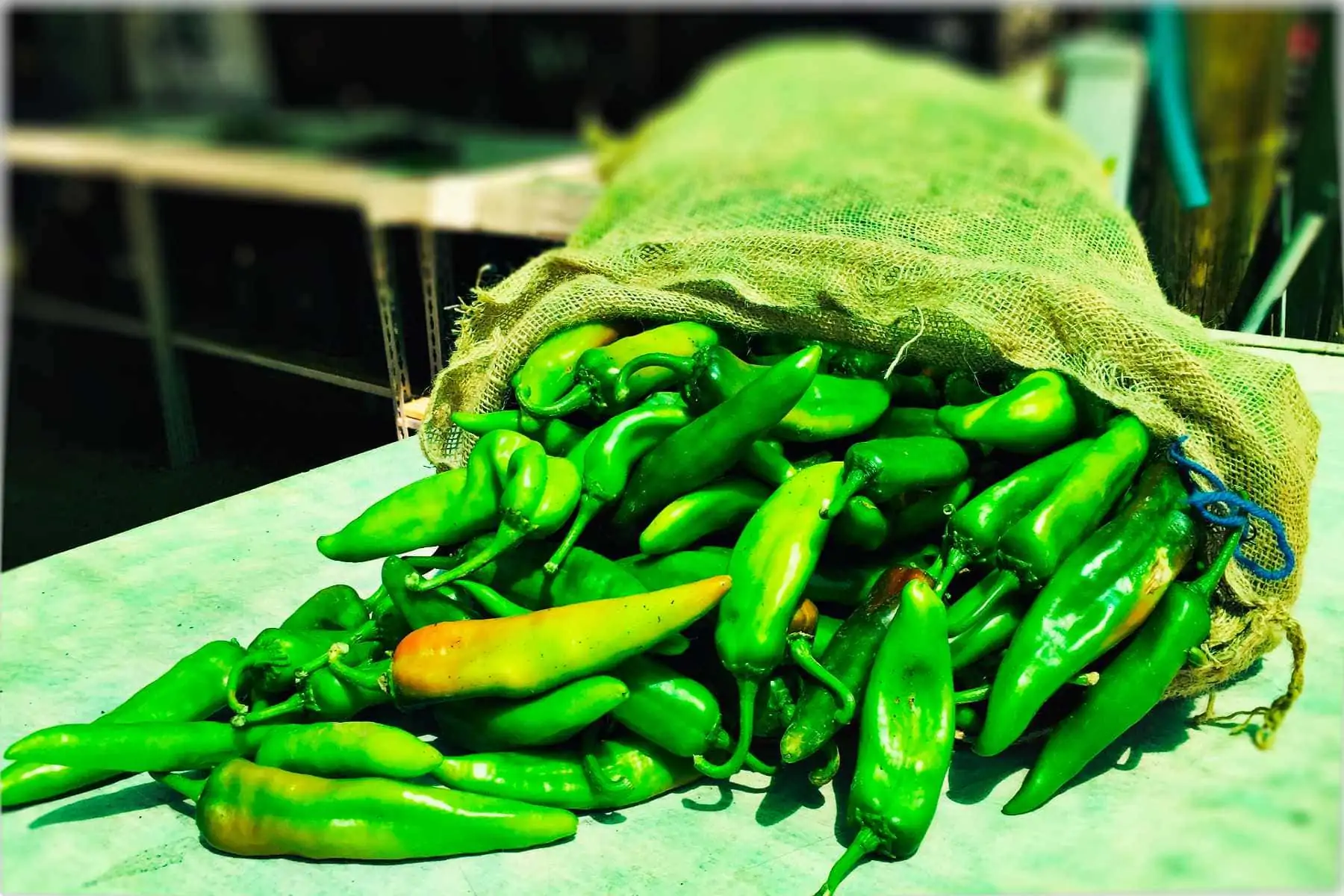 45 Types of Peppers | A to Z | Photos - Butter N Thyme