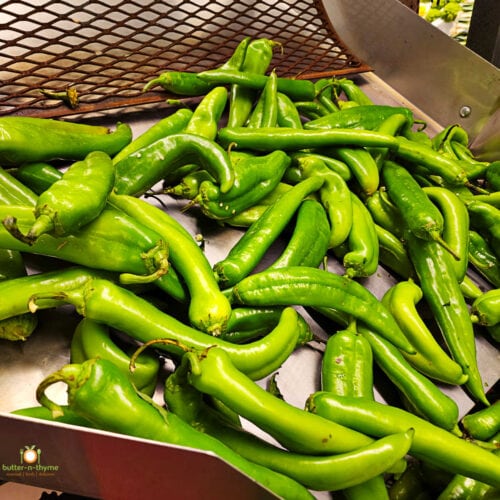 Hatch Chile | Seasons | Recipes | Uses - Butter N Thyme