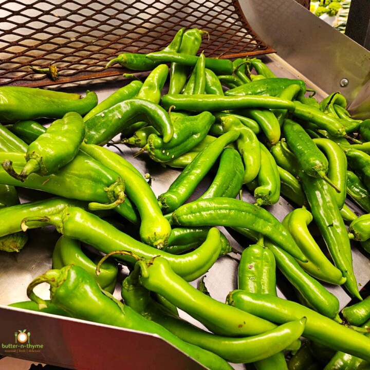 Hatch Chile | Seasons | Recipes | Uses - Butter N Thyme