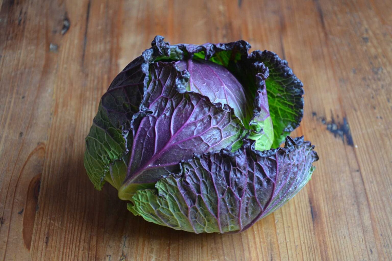 25 Types of Cabbage | A-to-Z | Photos - Butter N Thyme