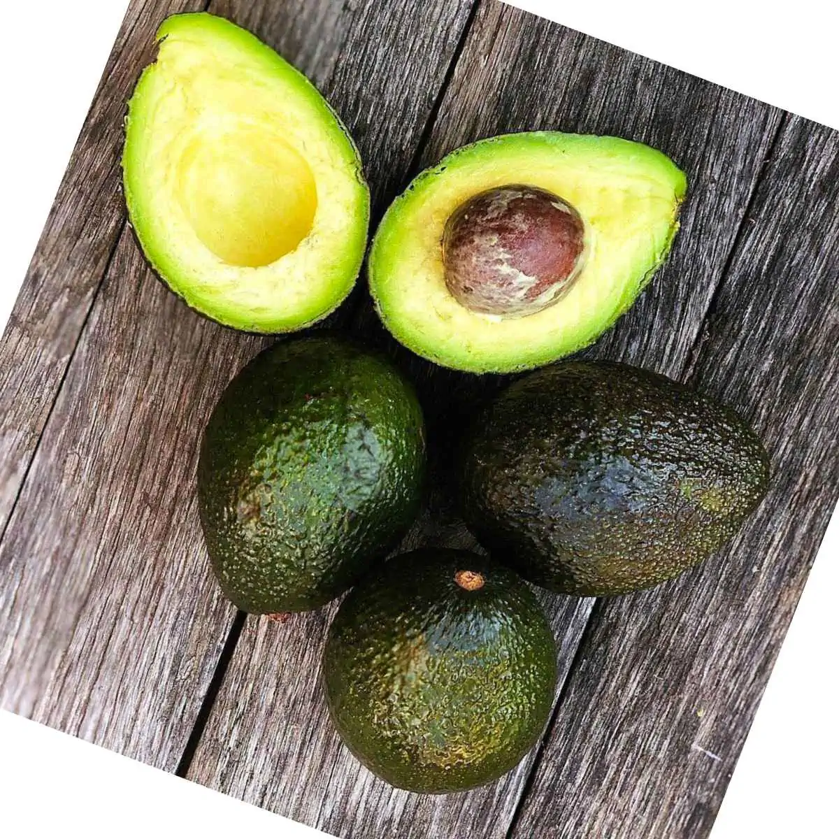 26 Types of Avocados | A-to-Z | Photos - Butter N Thyme