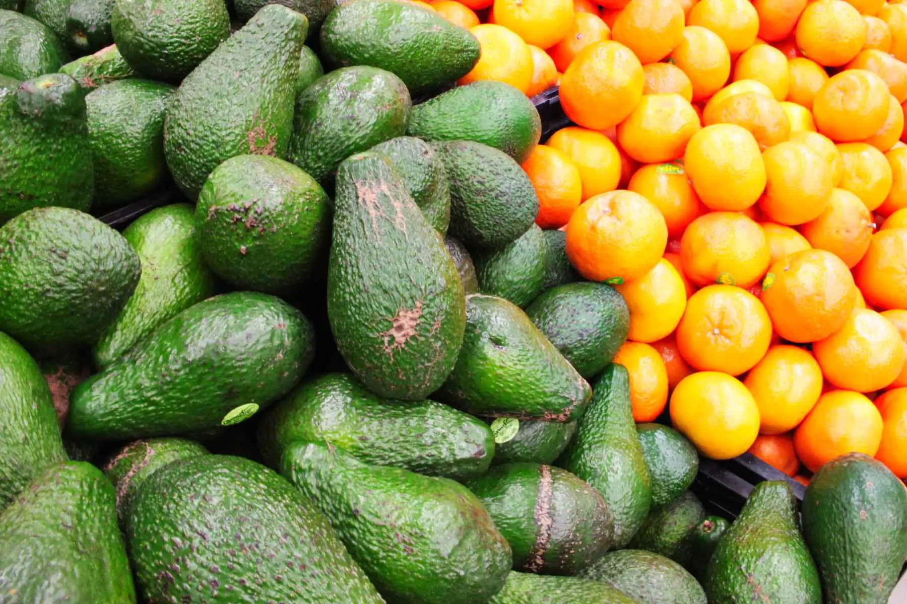 26 Types of Avocados | A-to-Z | Photos - Butter N Thyme