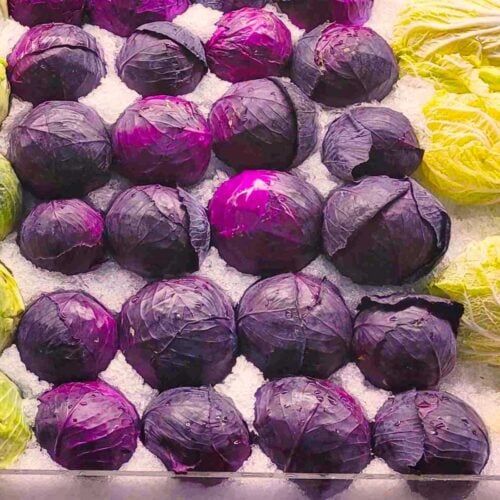 25 Types of Cabbage | A-to-Z | Photos - Butter N Thyme
