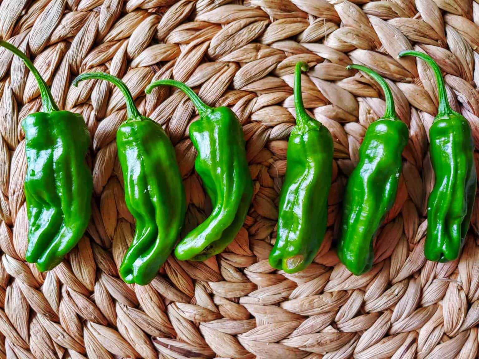 45 Types of Peppers: (A-to-Z) Photos - Butter N Thyme