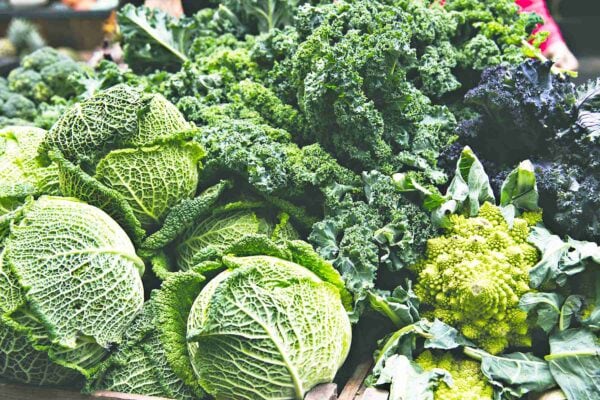 41 Types of Cabbage | A-to-Z | Photos - Butter N Thyme