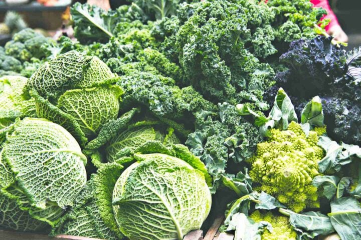 41 Types of Cabbage | A-to-Z | Photos - Butter N Thyme