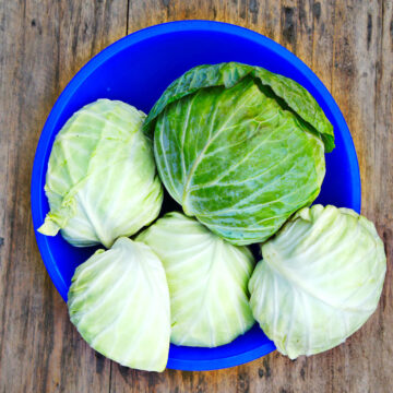 25 Types of Cabbage | A-to-Z | Photos - Butter N Thyme