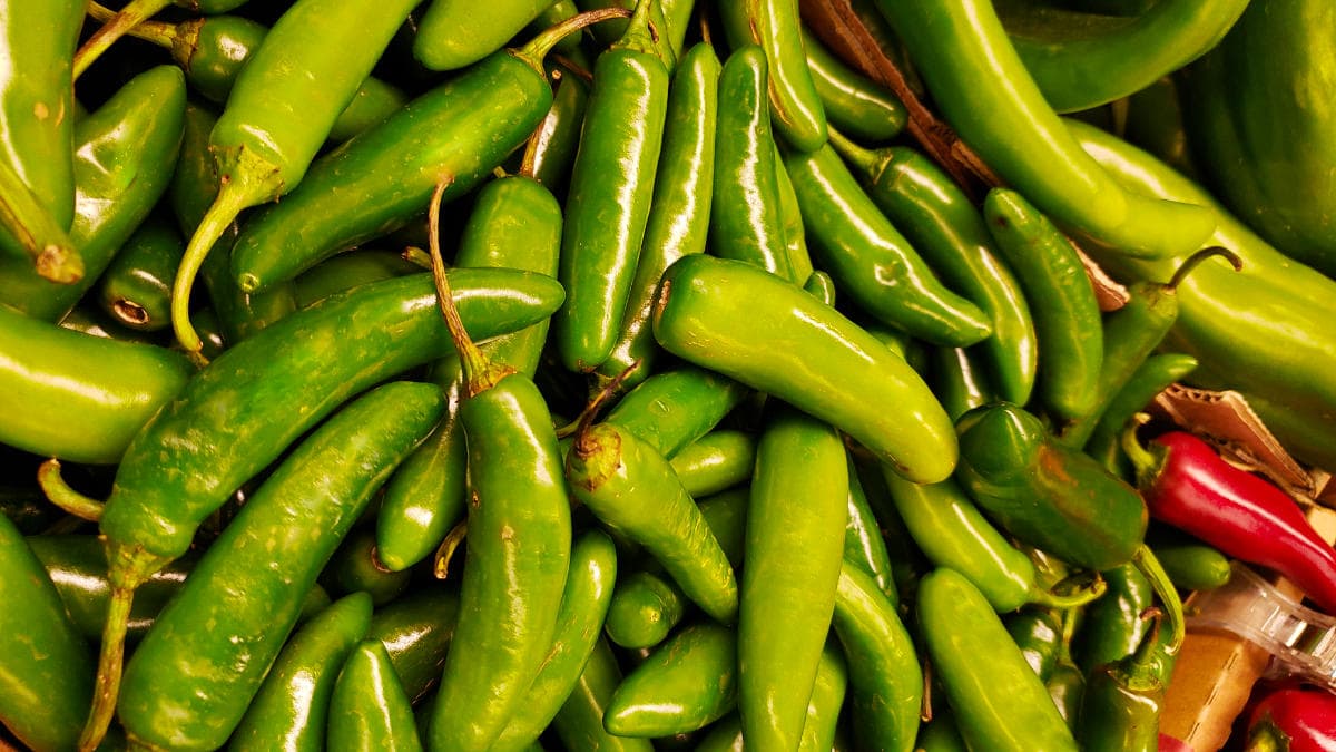 45 Types of Peppers: (A-to-Z) Photos - Butter N Thyme