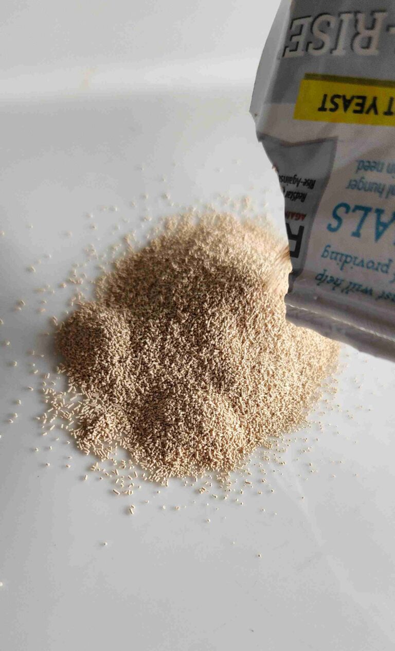 10 Different Types of Yeast | Uses | Defined - Butter N Thyme