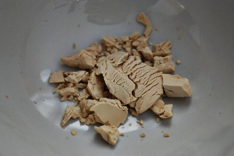 10 Different Types of Yeast | Uses | Defined - Butter N Thyme