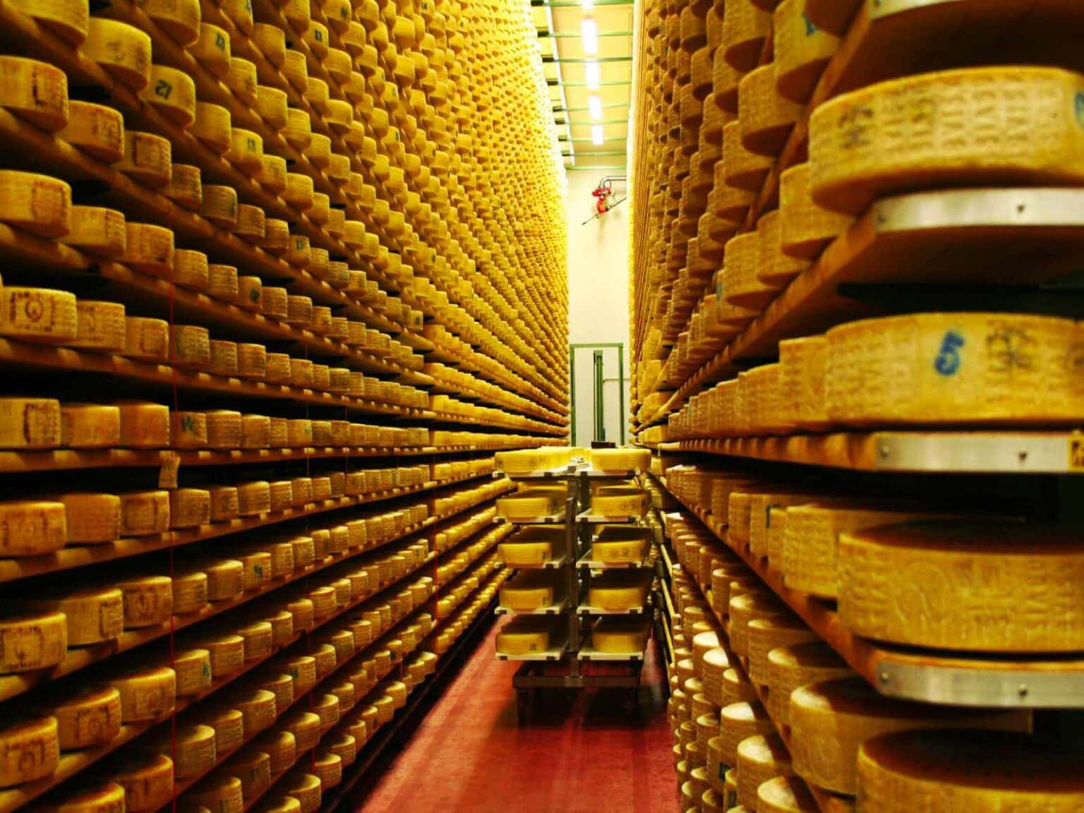 Types of Asiago Cheese | A to Z | Photos - Butter N Thyme