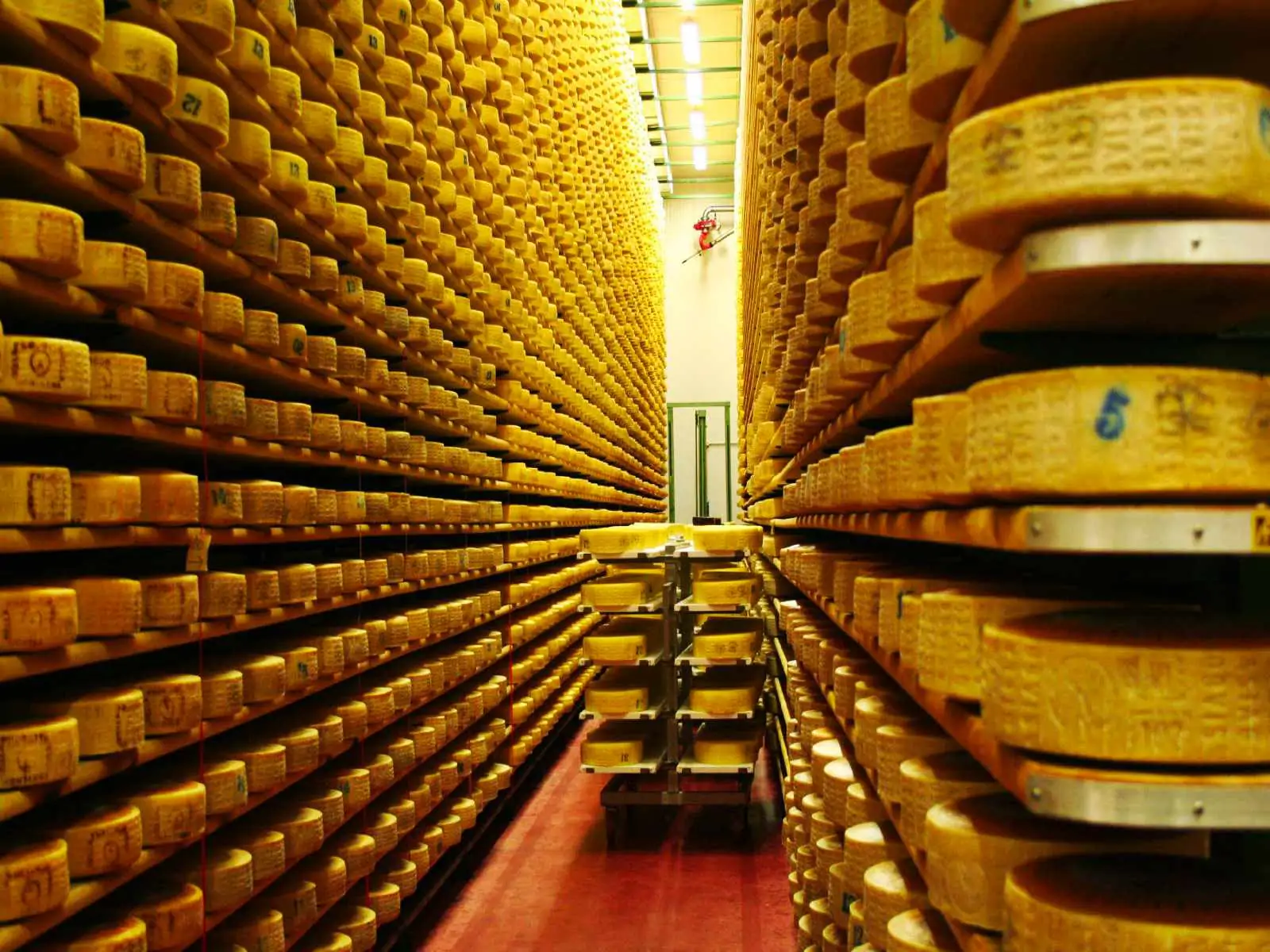 Types of Asiago Cheese | A to Z | Photos - Butter N Thyme